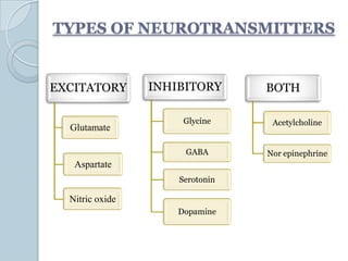 Neurotransmitters | PPTX