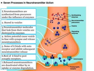 Neurotransmitters Diagram