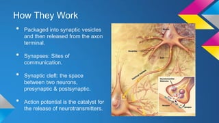 Neurotransmitters | PPT