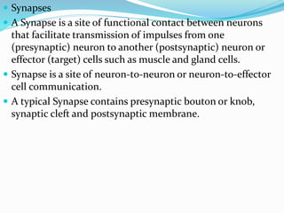 Neurotransmitters | PPT