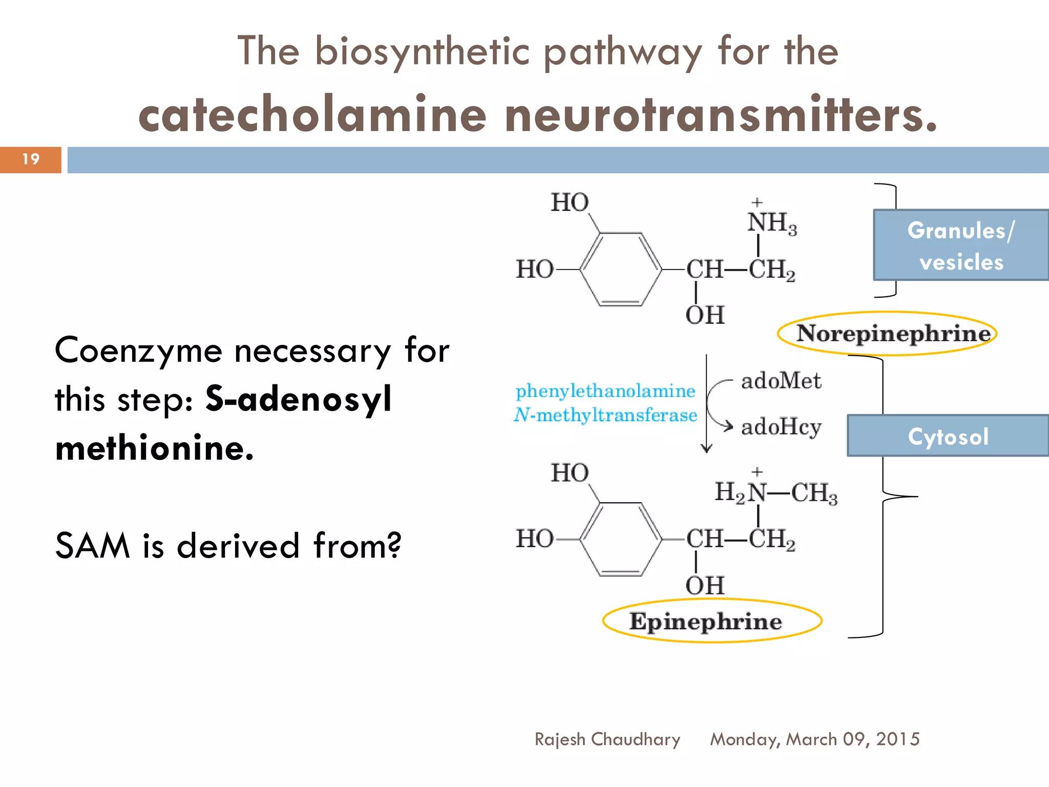 Neurotransmitters | PDF