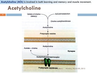 Neurotransmitters | PDF