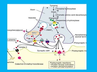 Neurotransmitters and neurohumoral transmission | PPTX