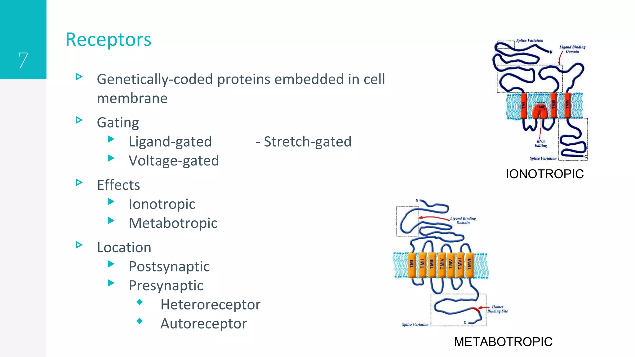 Neurotransmitters | PPTX