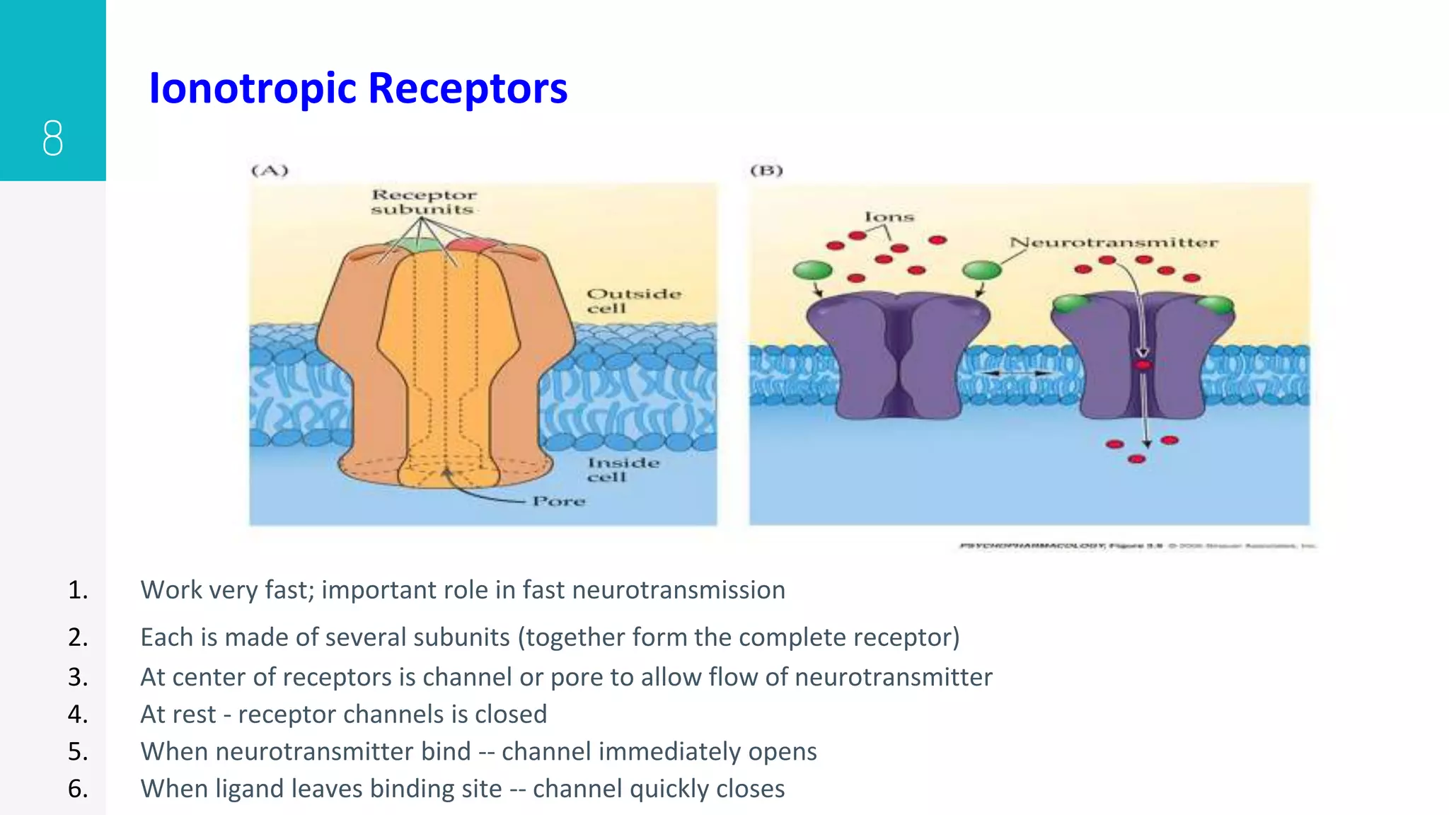Neurotransmitters | PPT