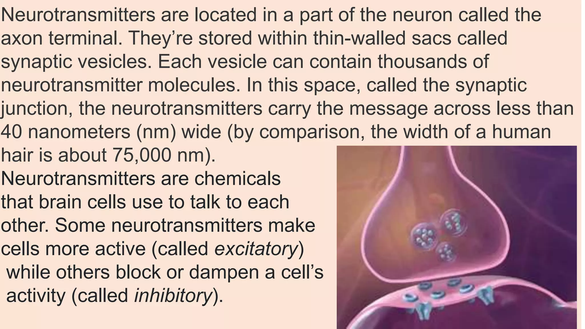 Neurotransmitters | PPTX | Brain and Nervous System Disorders ...