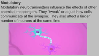 Neurotransmitters | PPTX | Brain and Nervous System Disorders ...