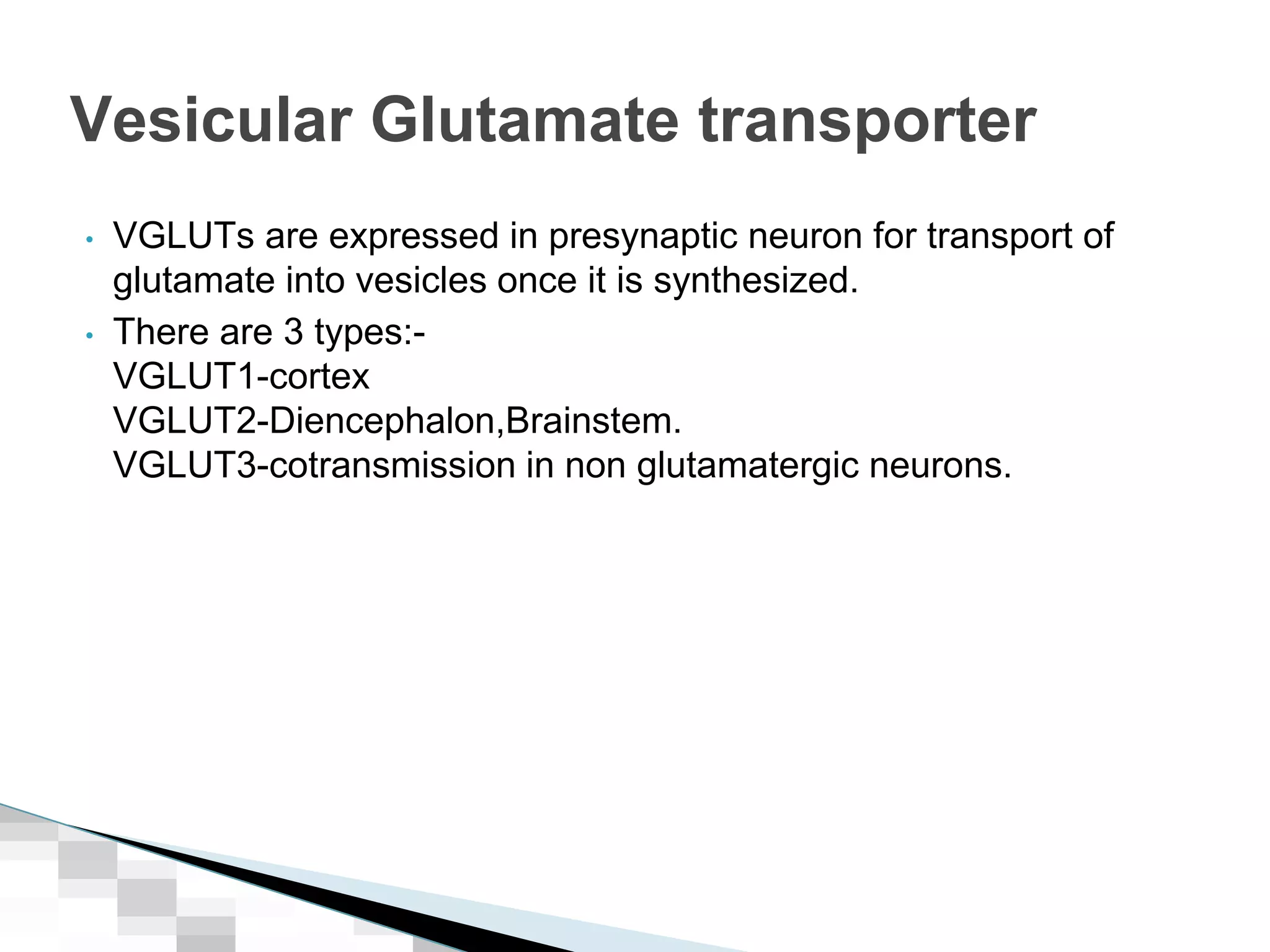 neurotransmitters.pptx
