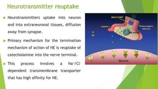 Neurotransmitters.pdf