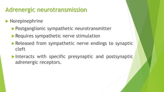 Neurotransmitters.pdf
