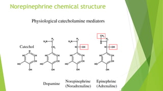 Neurotransmitters.pdf