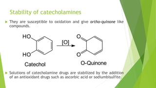 Neurotransmitters.pdf