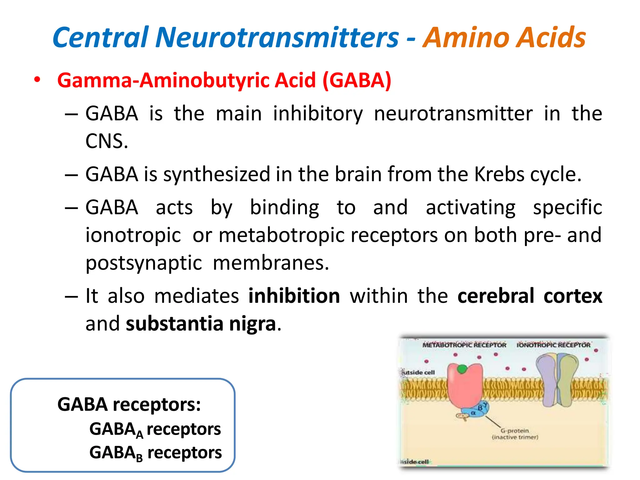 neurotransmitters-Histamine, Acetylcholine,Dopamine,GABA,Amino acid ...