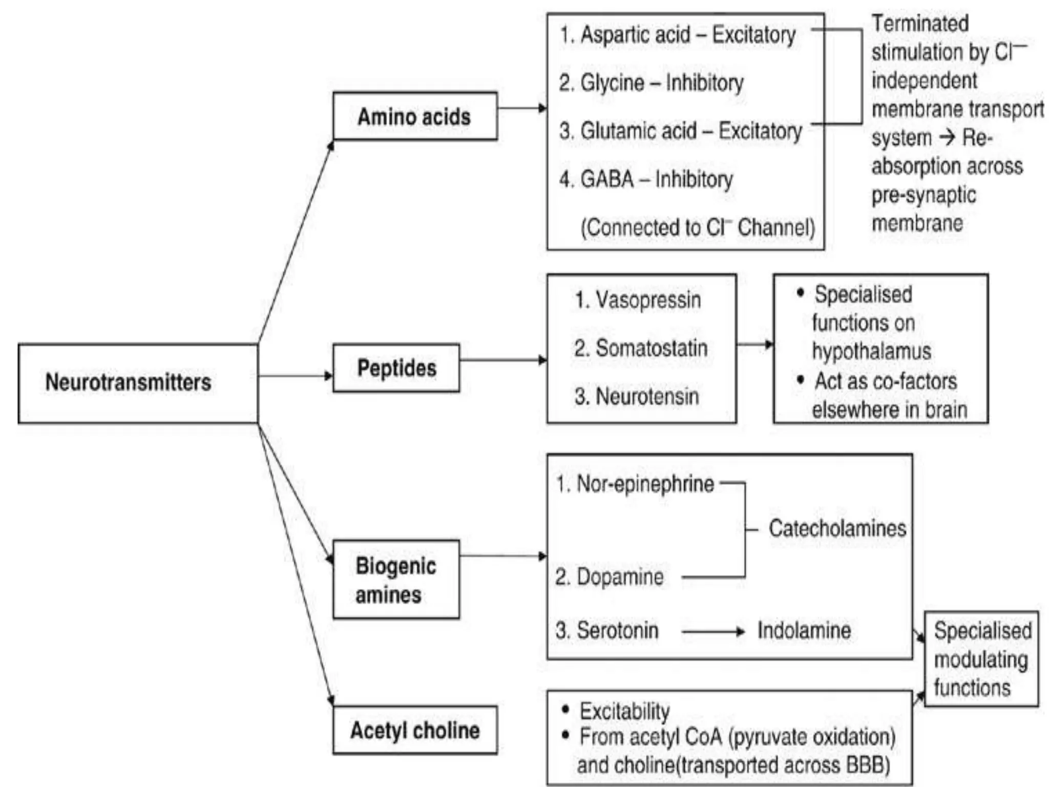 neurotransmitters-Histamine, Acetylcholine,Dopamine,GABA,Amino acid ...