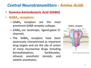 neurotransmitters-Histamine, Acetylcholine,Dopamine,GABA,Amino acid ...