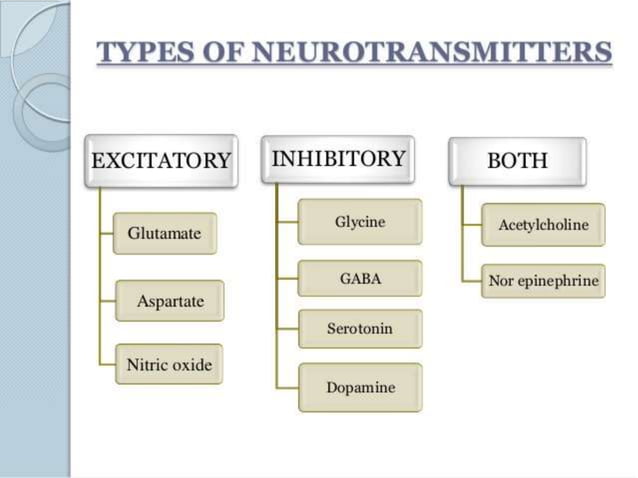 neurotransmitters-Histamine, Acetylcholine,Dopamine,GABA,Amino acid ...