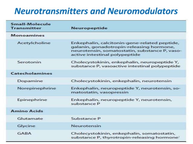 neurotransmitters-Histamine, Acetylcholine,Dopamine,GABA,Amino acid ...