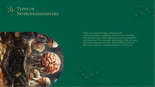A Presentation On Neurotransmitters In Brain.pdf