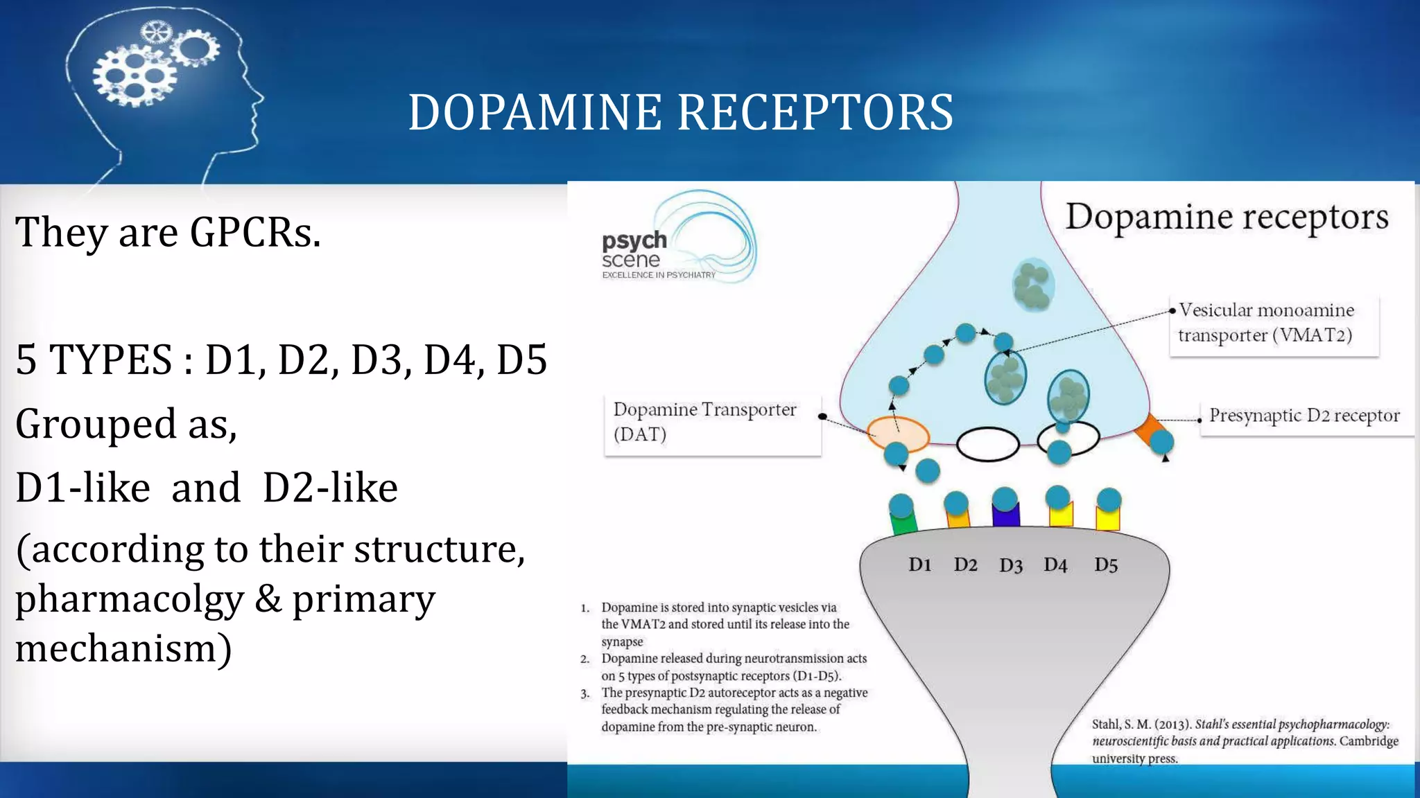 Neurotransmitters- serotonin & dopamine by dr. rujul modi | PDF