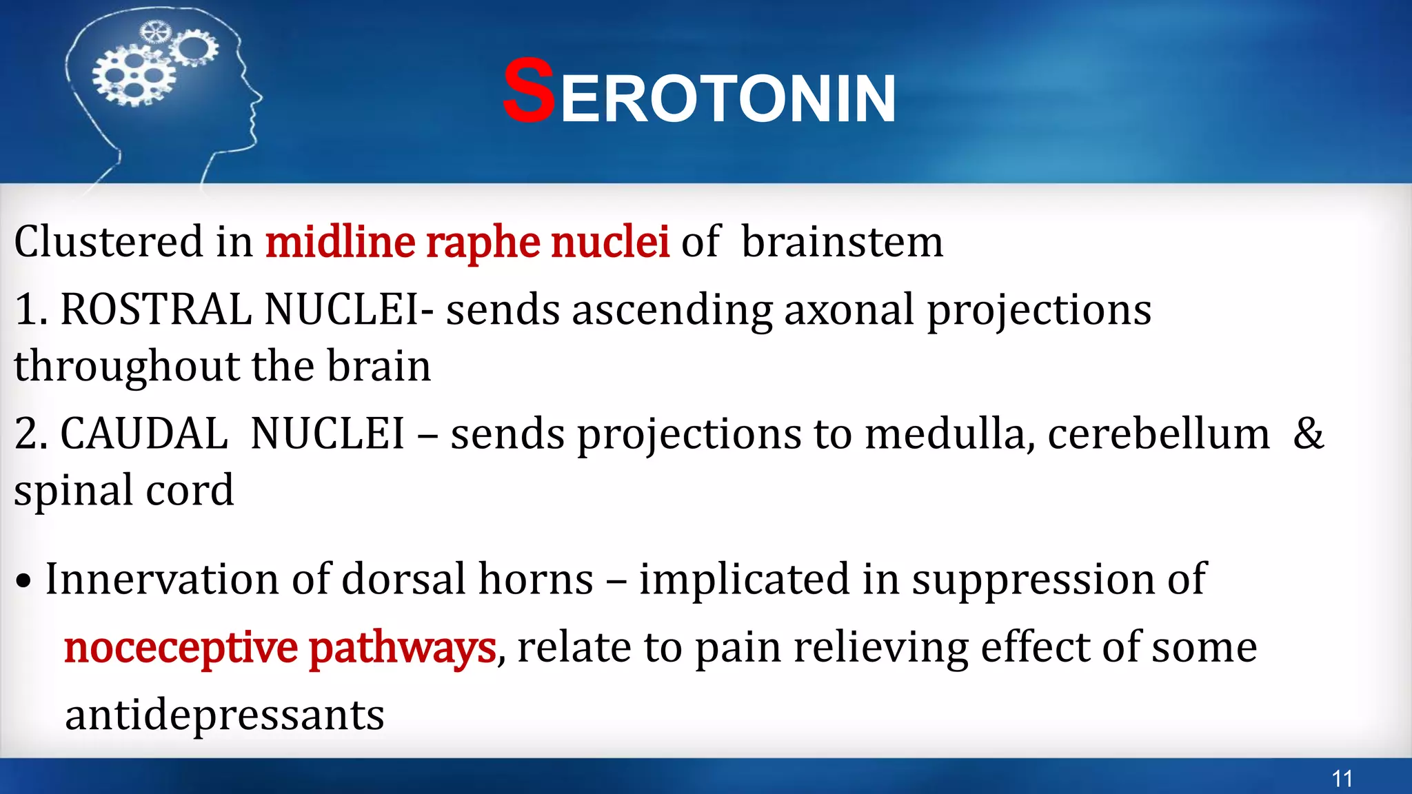 Neurotransmitters- serotonin & dopamine by dr. rujul modi | PDF