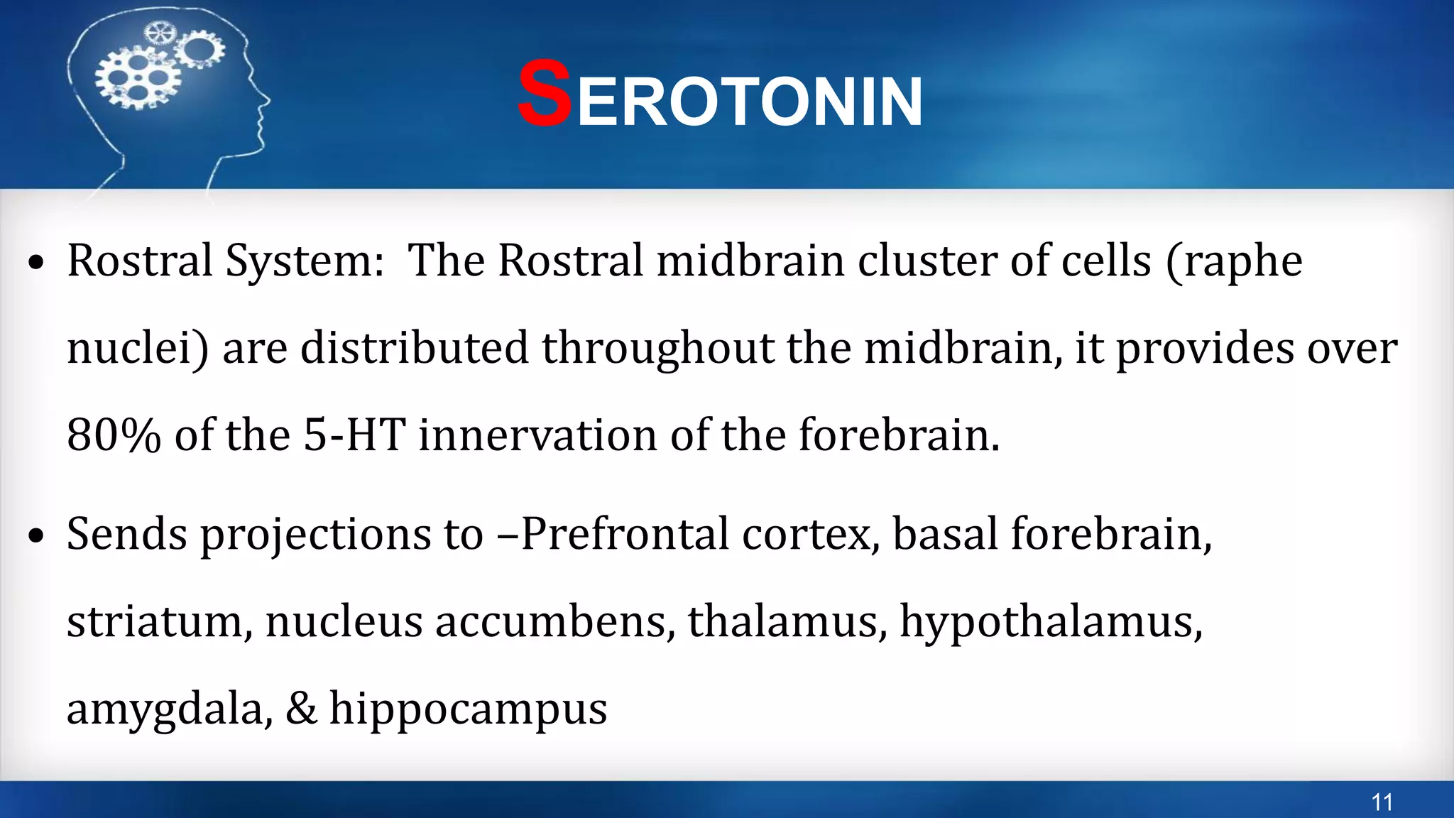 Neurotransmitters- serotonin & dopamine by dr. rujul modi | PDF