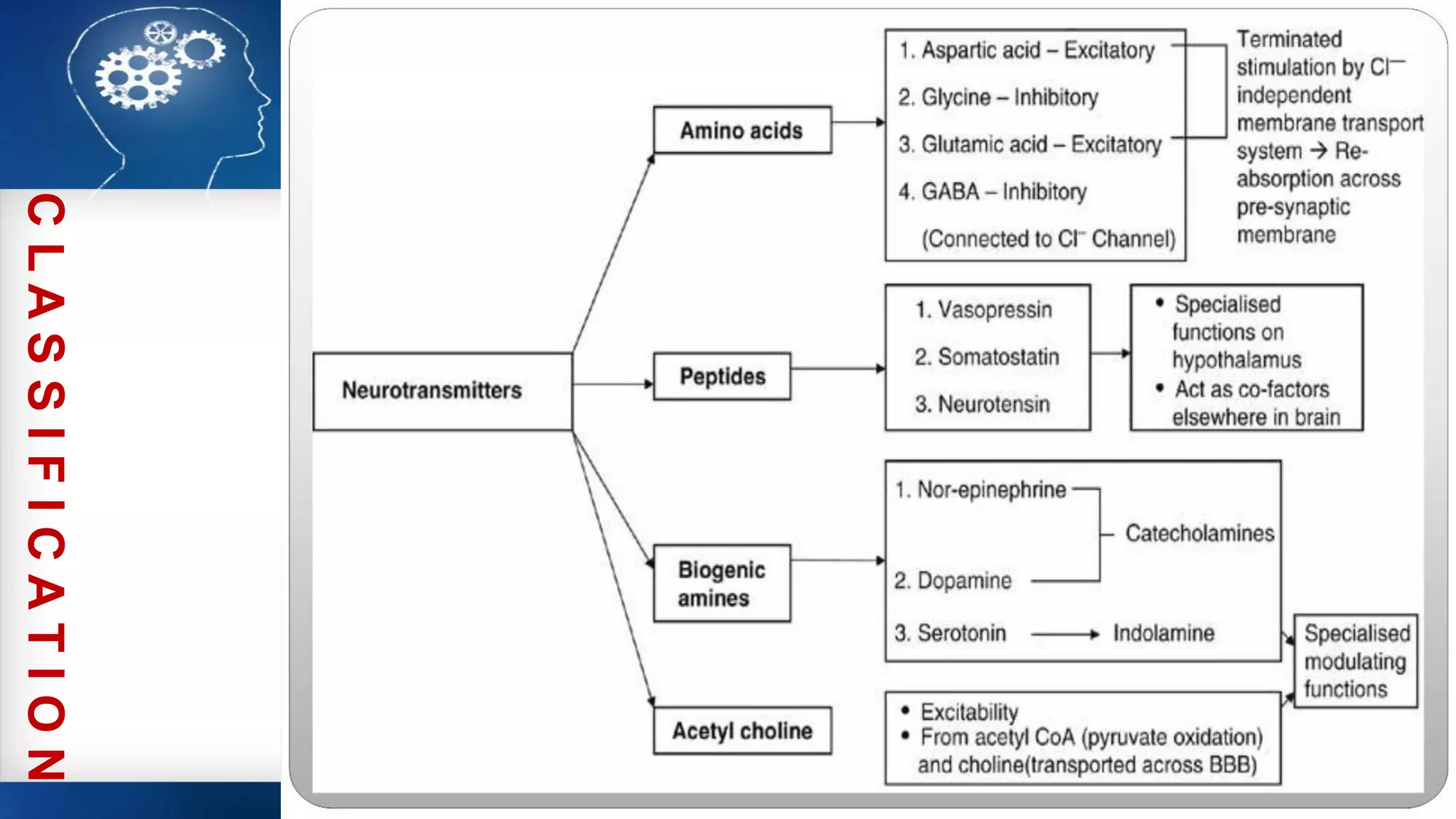 Neurotransmitters- serotonin & dopamine by dr. rujul modi | PDF