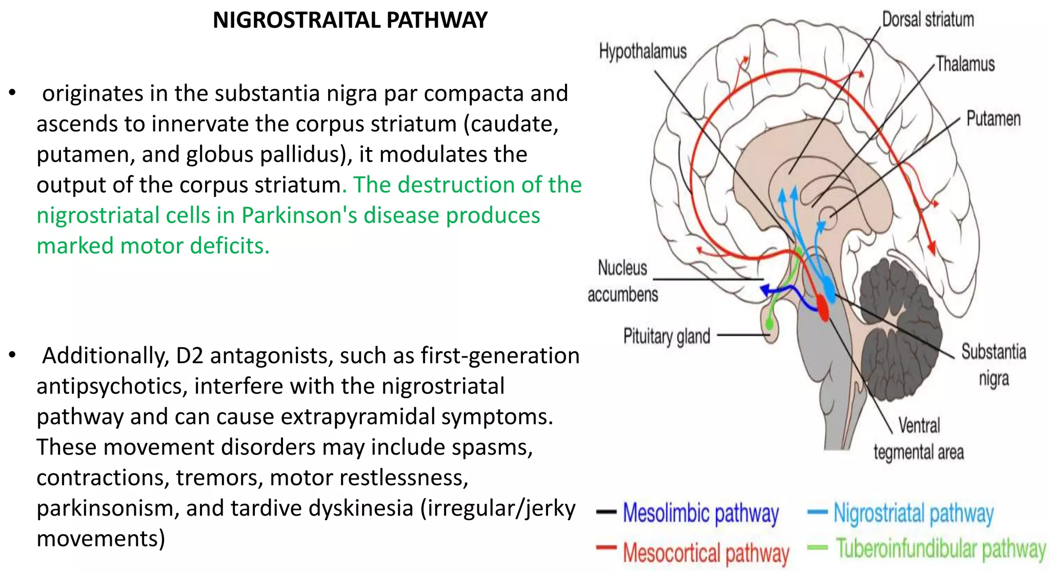 NEUROTRANSMITTERS 1.pptx