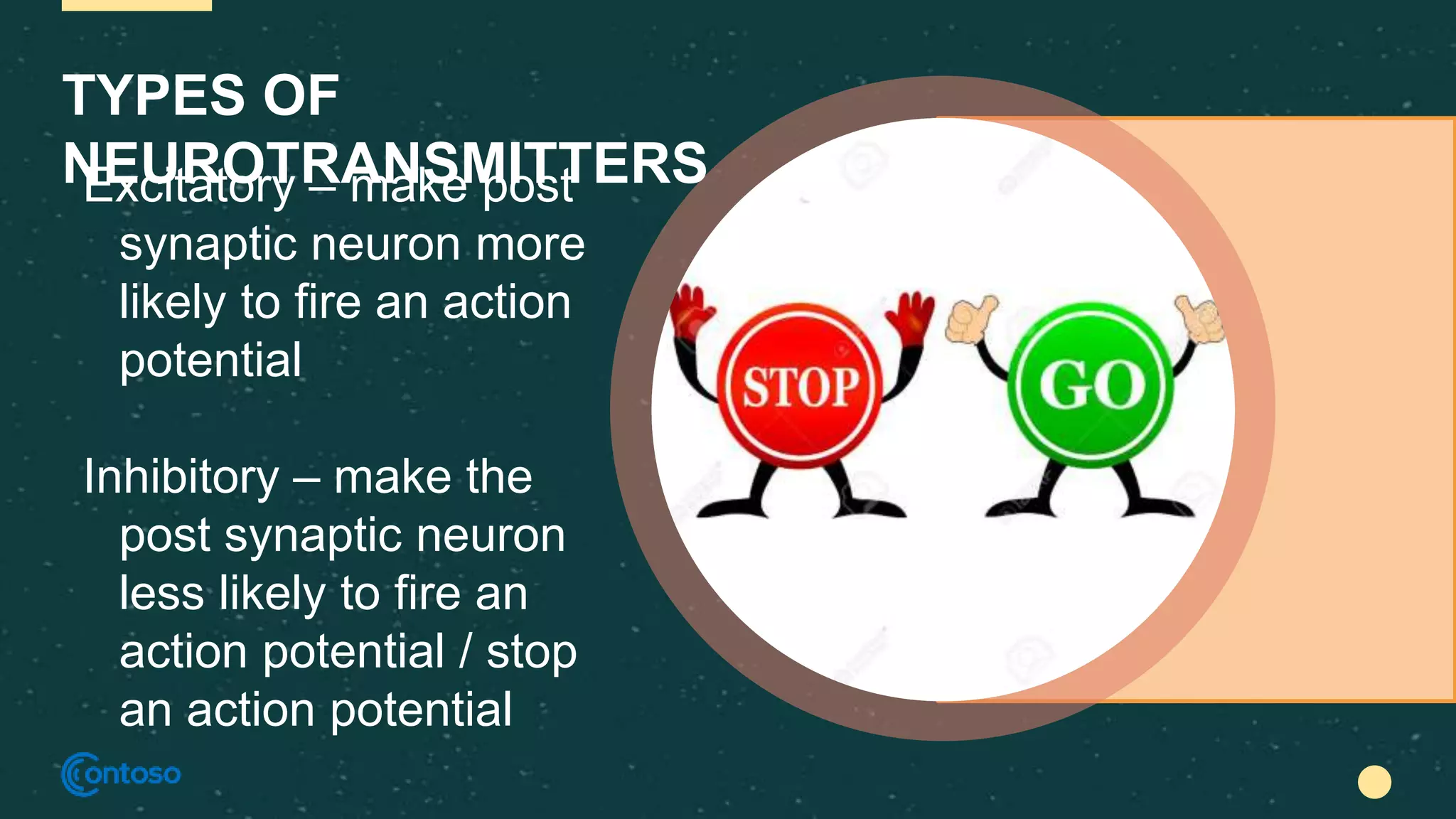 Neurotransmitters (2020 version).pptx