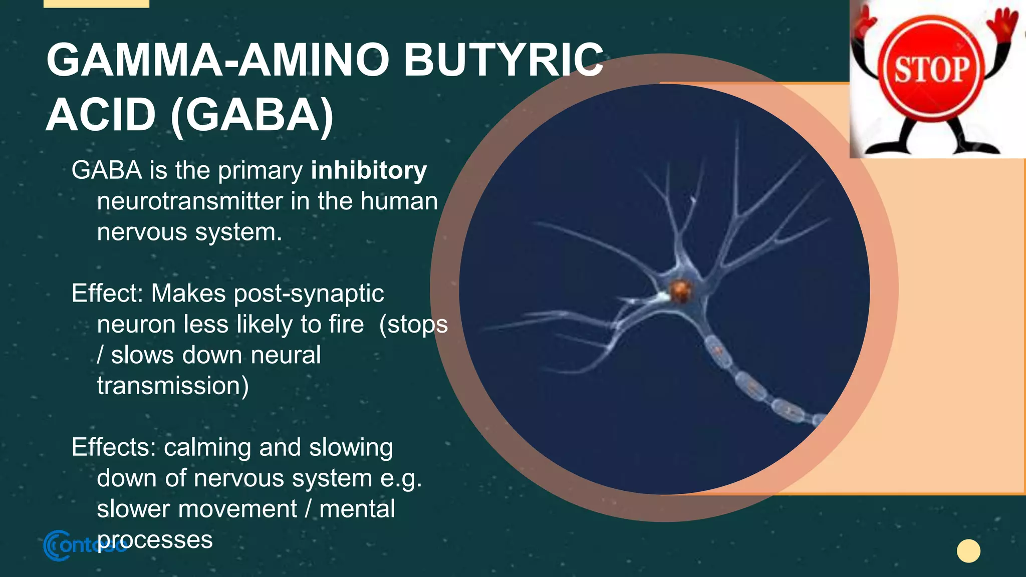 Neurotransmitters (2020 version).pptx