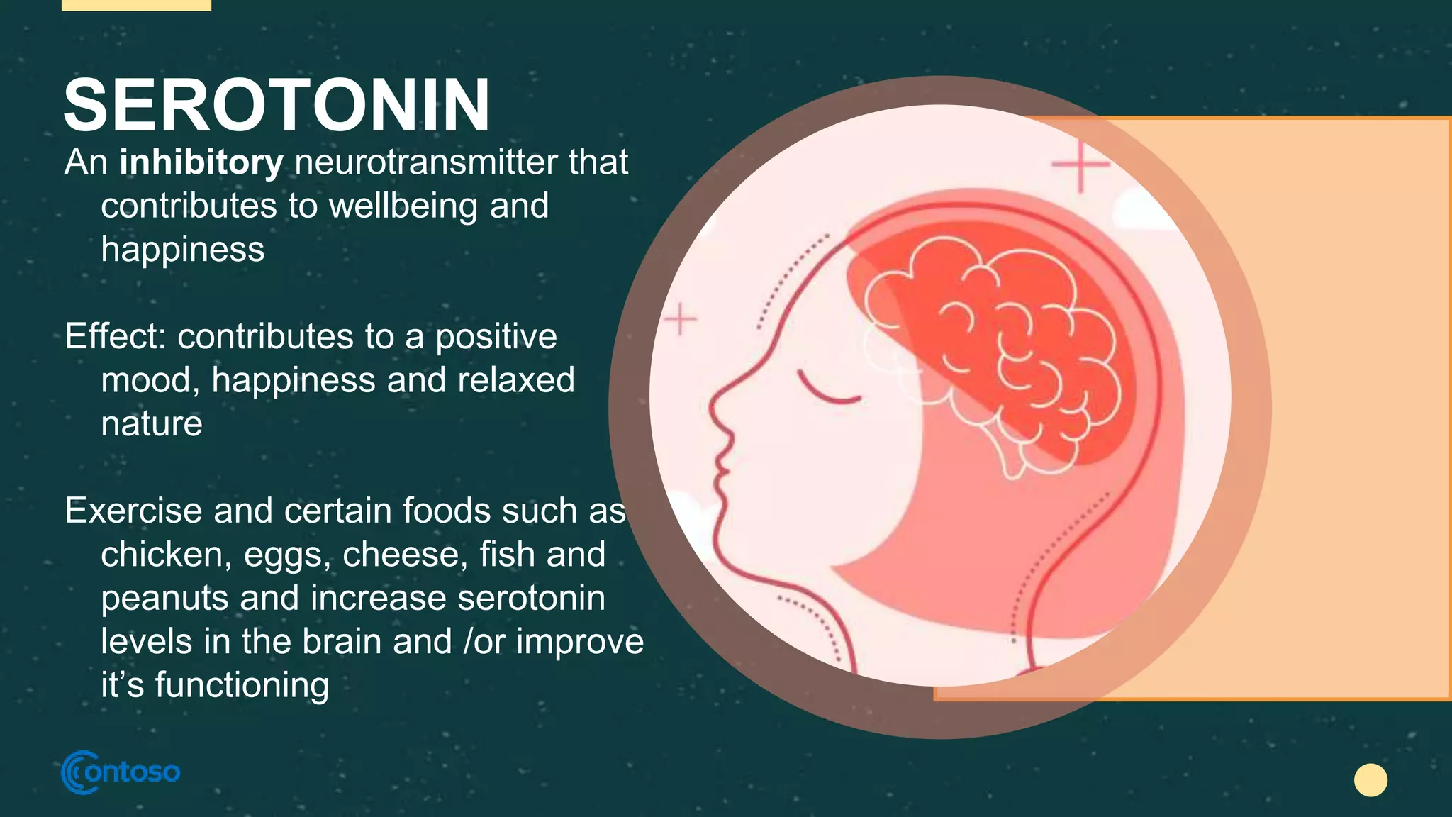 Neurotransmitters (2020 version).pptx