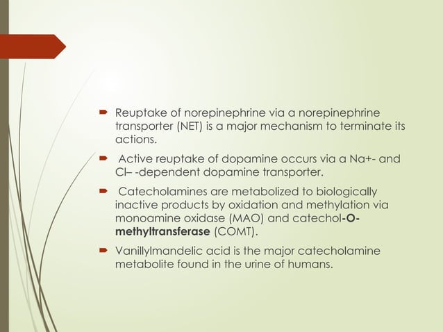 Neurotransmitters 2021 their functions and adaptions | PPTX