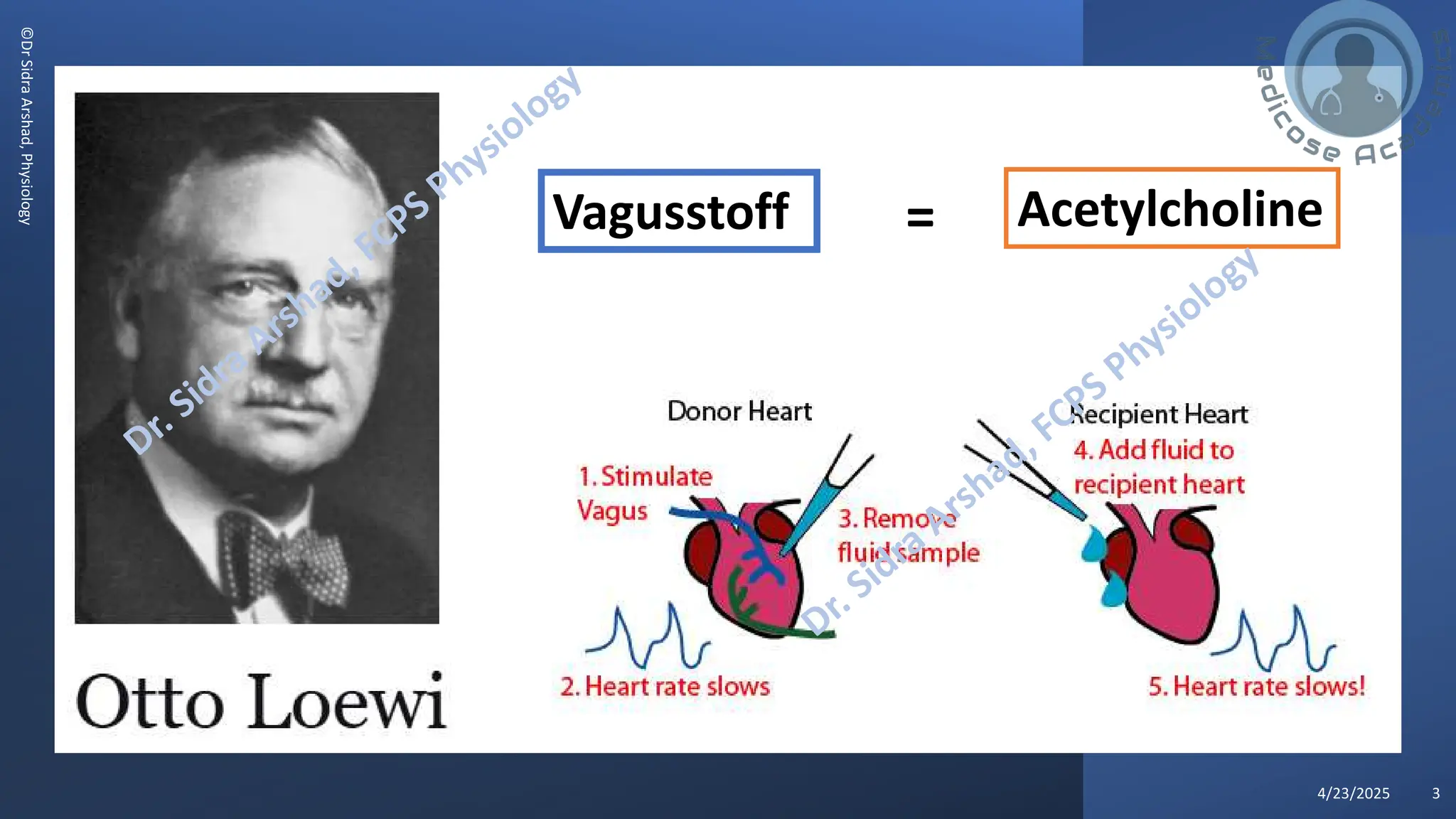 The Physiology of Central Nervous System - Neurotransmitters and ...