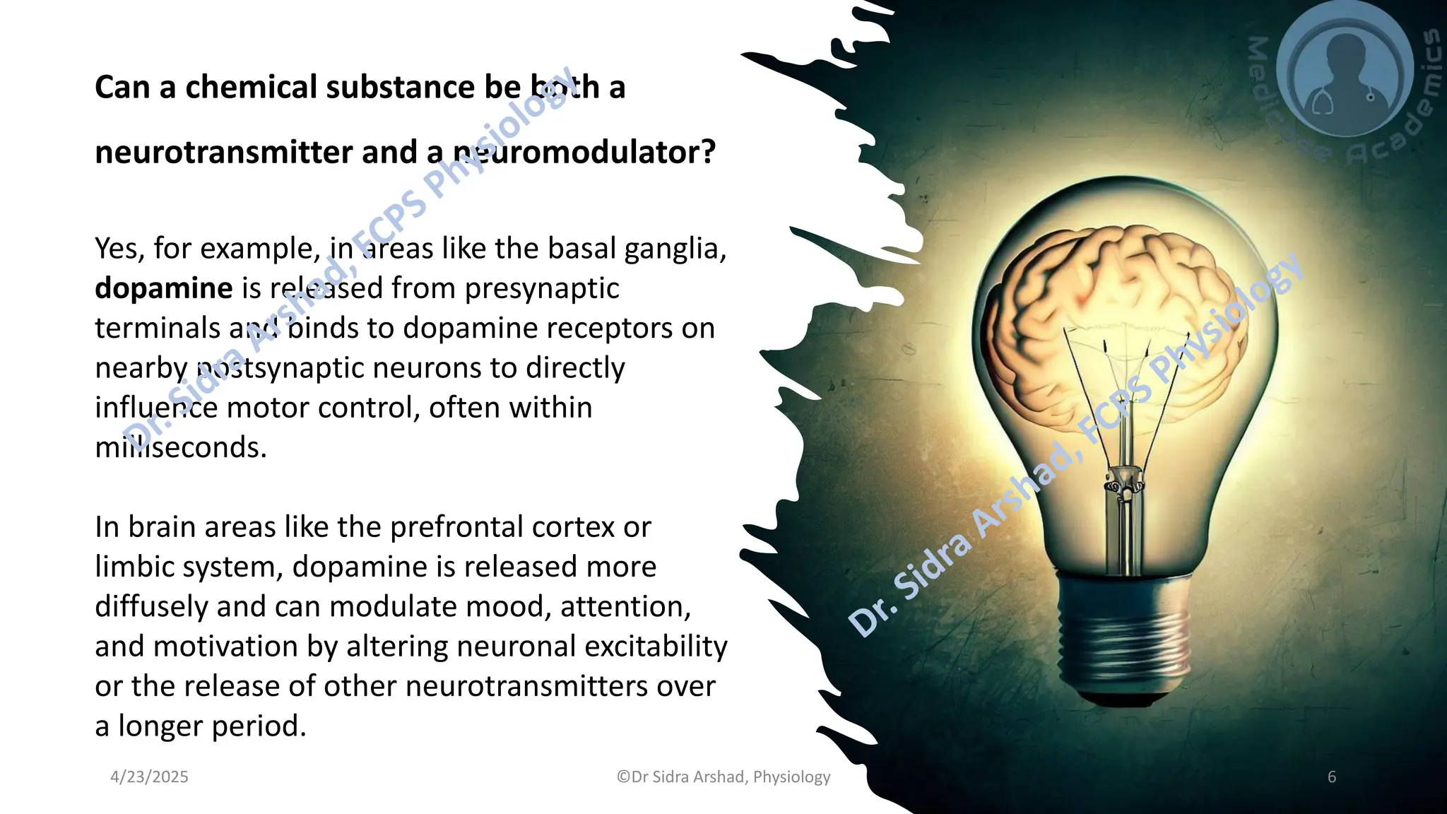 The Physiology of Central Nervous System - Neurotransmitters and Neuromodulators | PDF