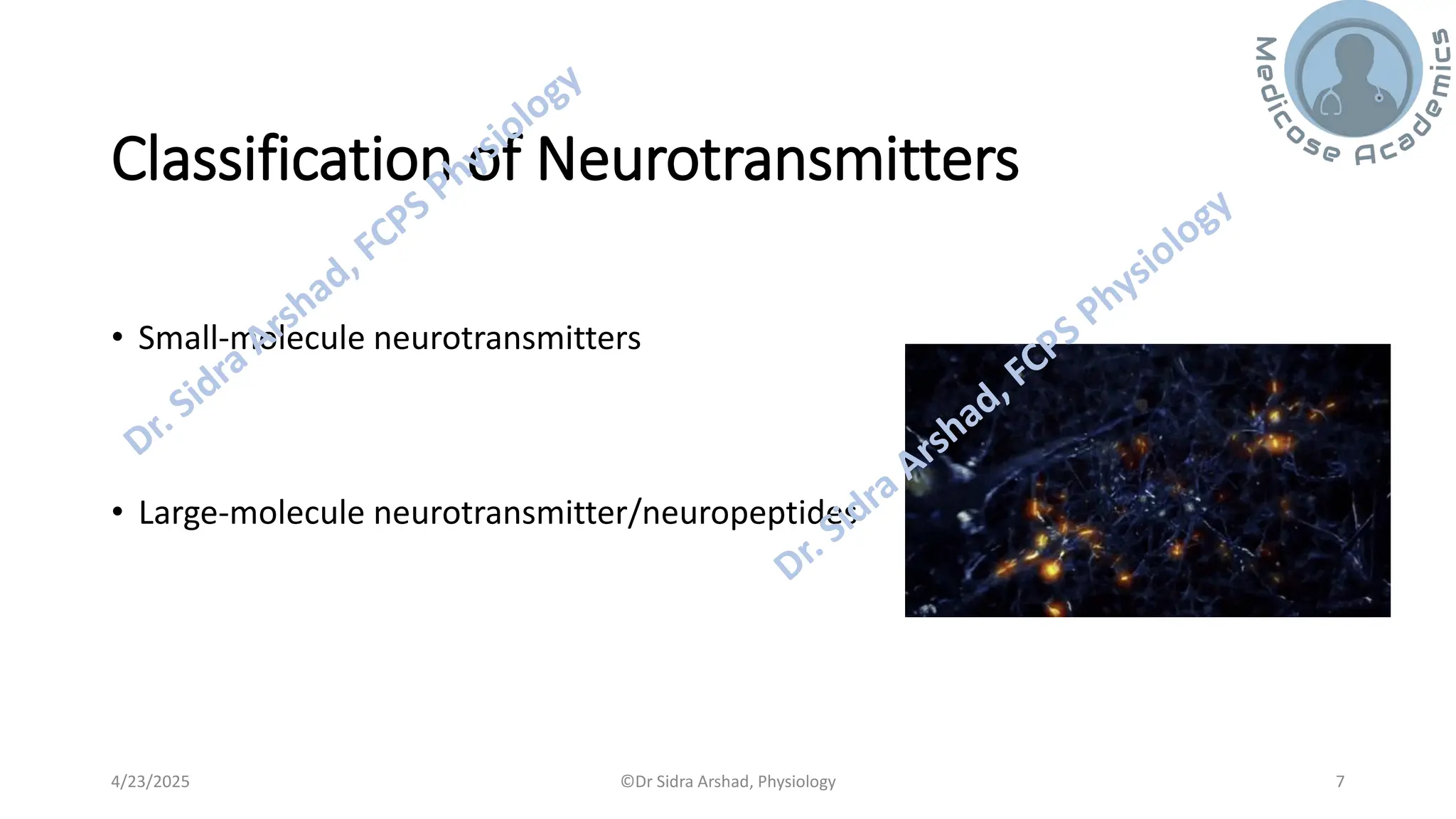 The Physiology of Central Nervous System - Neurotransmitters and ...