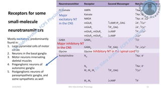 The Physiology of Central Nervous System - Neurotransmitters and ...