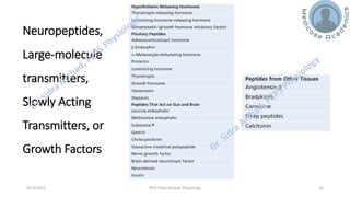 The Physiology of Central Nervous System - Neurotransmitters and ...