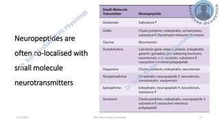 The Physiology of Central Nervous System - Neurotransmitters and ...