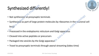 The Physiology of Central Nervous System - Neurotransmitters and ...