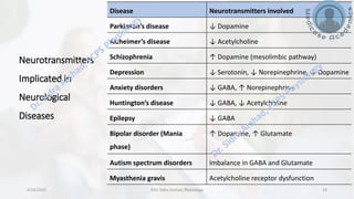 The Physiology of Central Nervous System - Neurotransmitters and ...