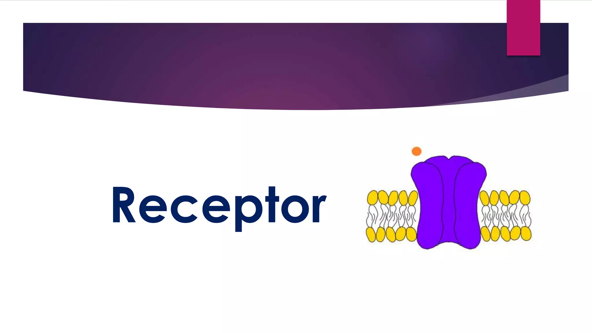 Neurotransmitters and receptor | PPTX