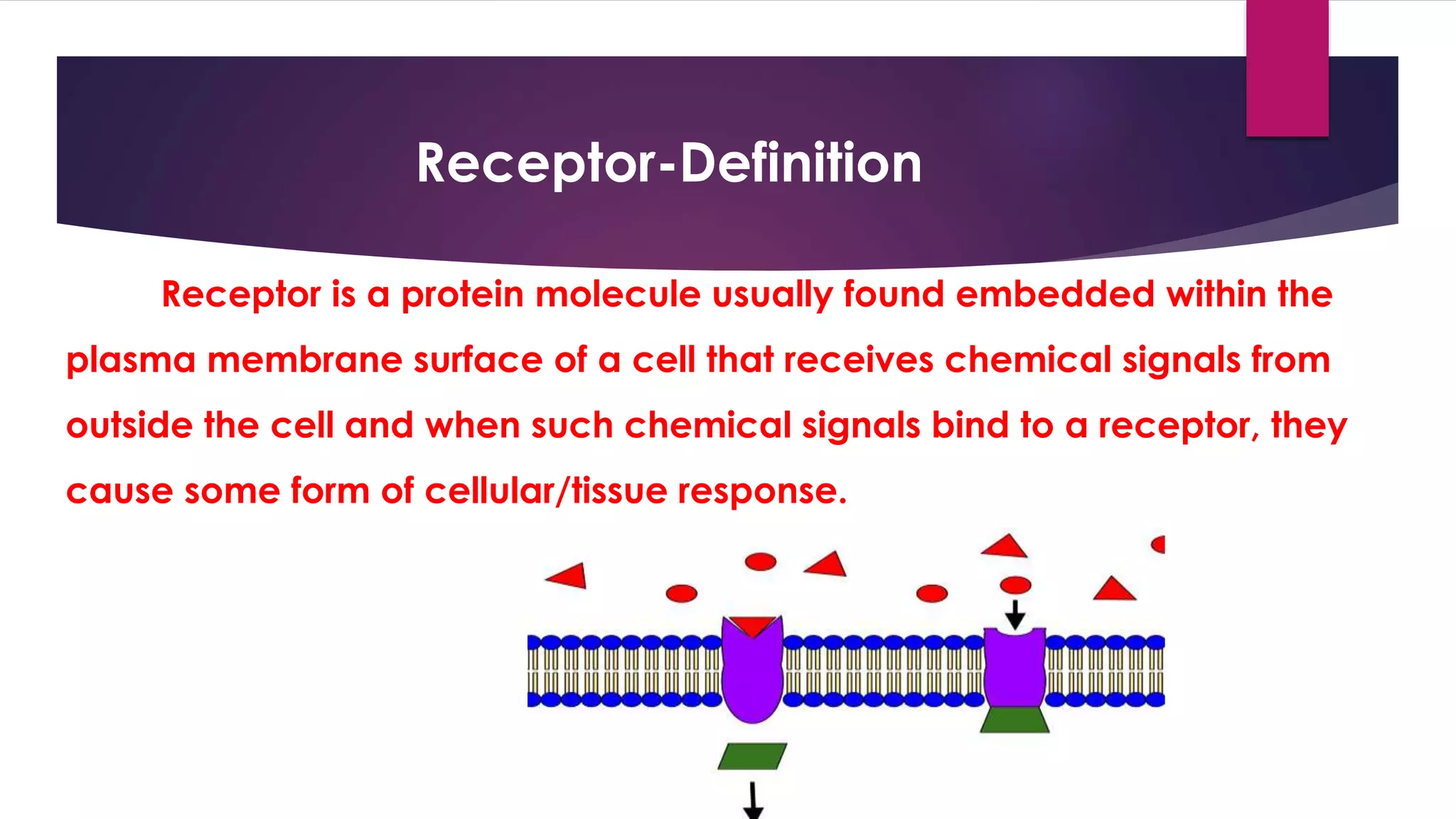 Neurotransmitters and receptor | PPTX