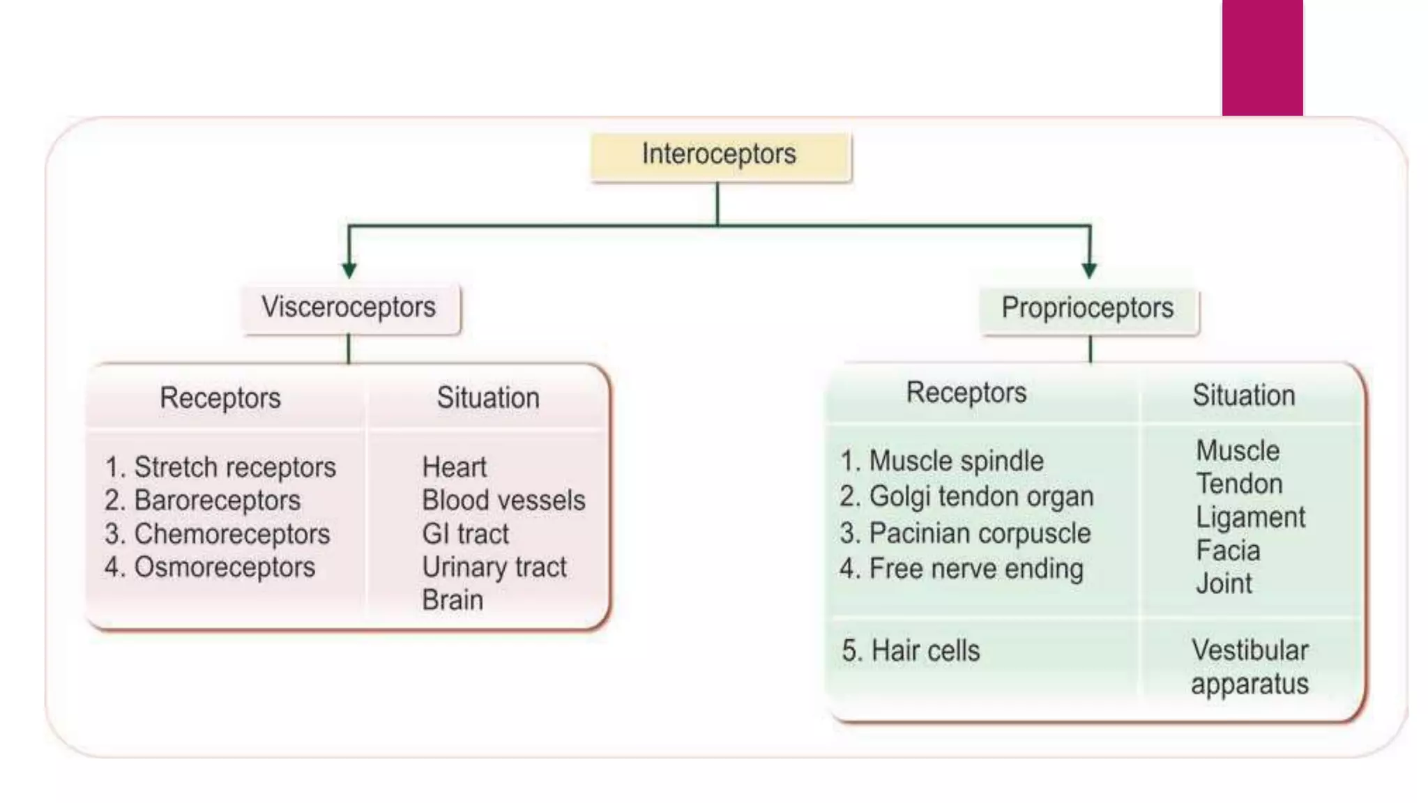 Neurotransmitters and receptor | PPTX