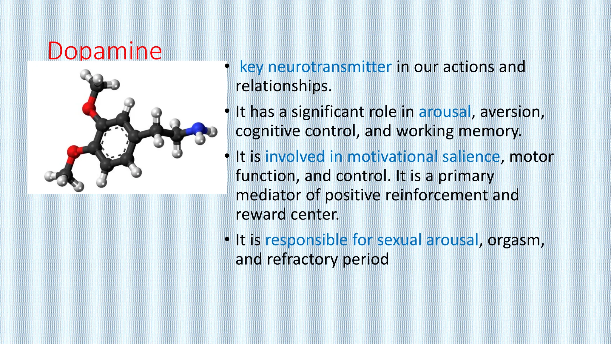 Neurotransmitters and their Functions.pdf