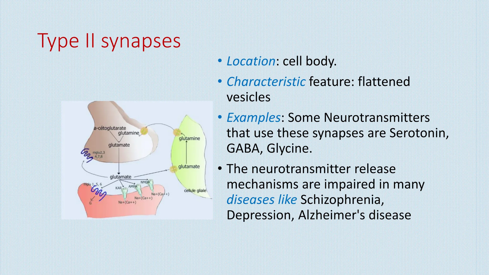 Neurotransmitters and their Functions.pdf