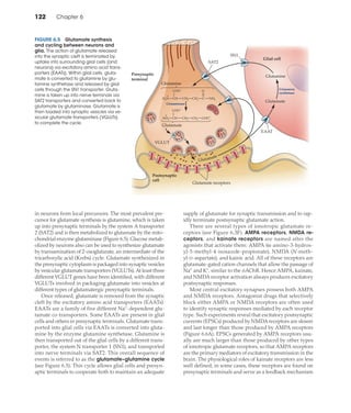 Neurotransmitters and their receptors - Dale Purves et al. (eds ...