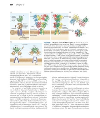 Neurotransmitters and their receptors - Dale Purves et al. (eds ...