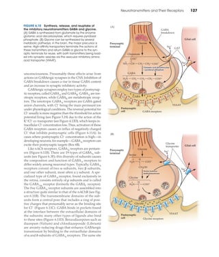 Neurotransmitters and their receptors - Dale Purves et al. (eds ...