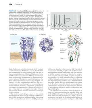 Neurotransmitters and their receptors - Dale Purves et al. (eds ...