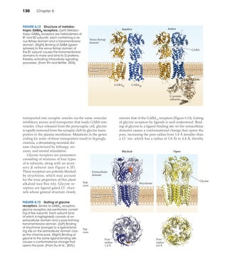 Neurotransmitters and their receptors - Dale Purves et al. (eds ...