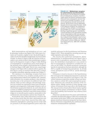 Neurotransmitters and their receptors - Dale Purves et al. (eds ...